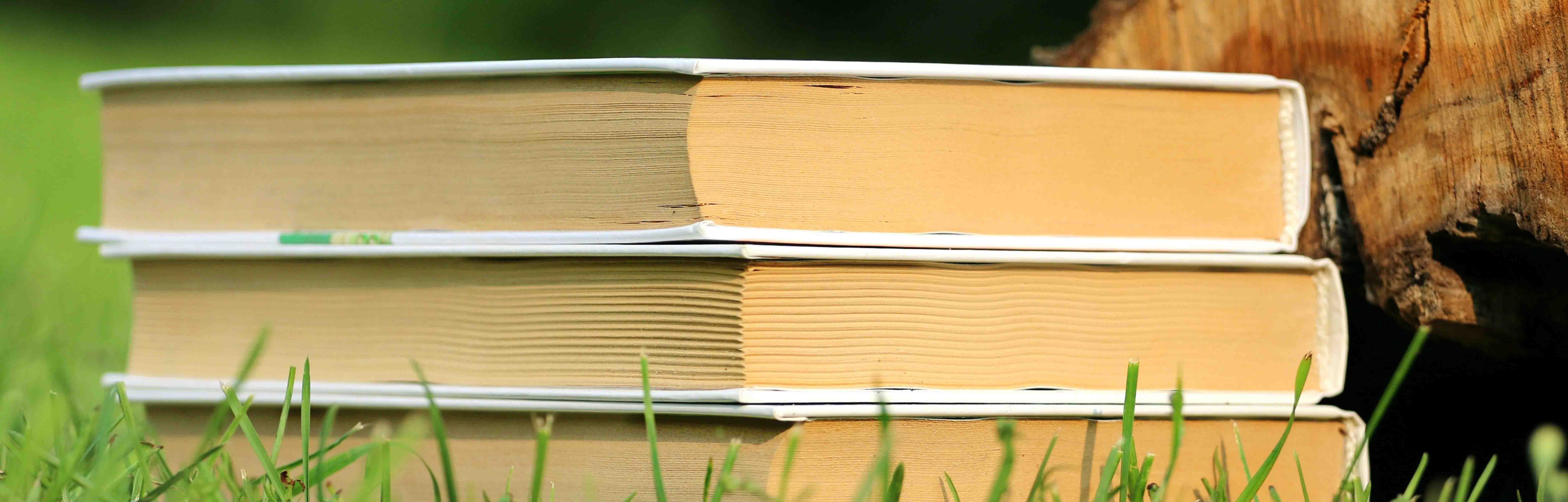 Unlock Your Design Mastermind: Demystifying the CEED Entrance Exam Syllabus